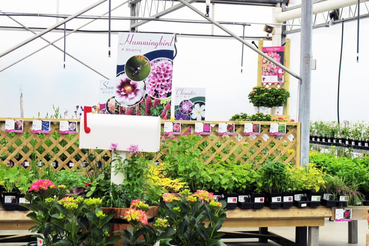 Garden Center Marketing