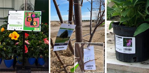 Create your own printable Plant Bench Cards.