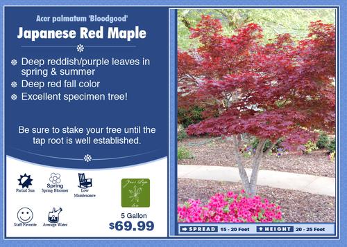 Garden Center Marketing's - Bench Card Sizes and Styles