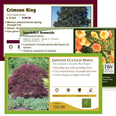 Create your own printable Plant Bench Cards.