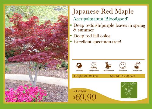 Garden Center Marketing's - Bench Card Sizes and Styles