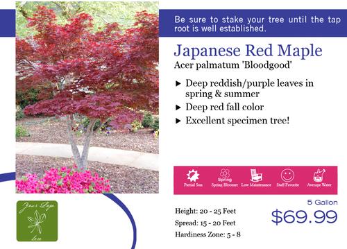 Garden Center Marketing's - Bench Card Sizes and Styles