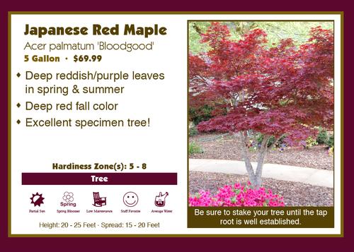 Garden Center Marketing's - Bench Card Sizes and Styles