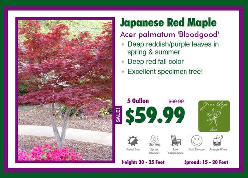 Garden Center Marketing's - Bench Card Sizes and Styles