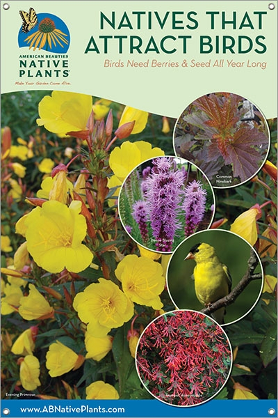 Native Plants That Attract Birds-MID-ATLANTIC 24x36 Garden Center Sign