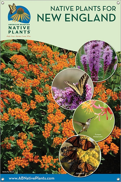 Native Plants for New England 24x36 Garden Center Sign