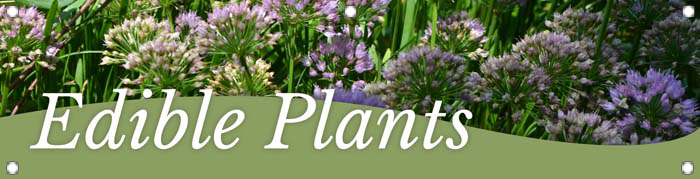 Edible Plants 47"x12" - PC Signs from Garden Center Marketing