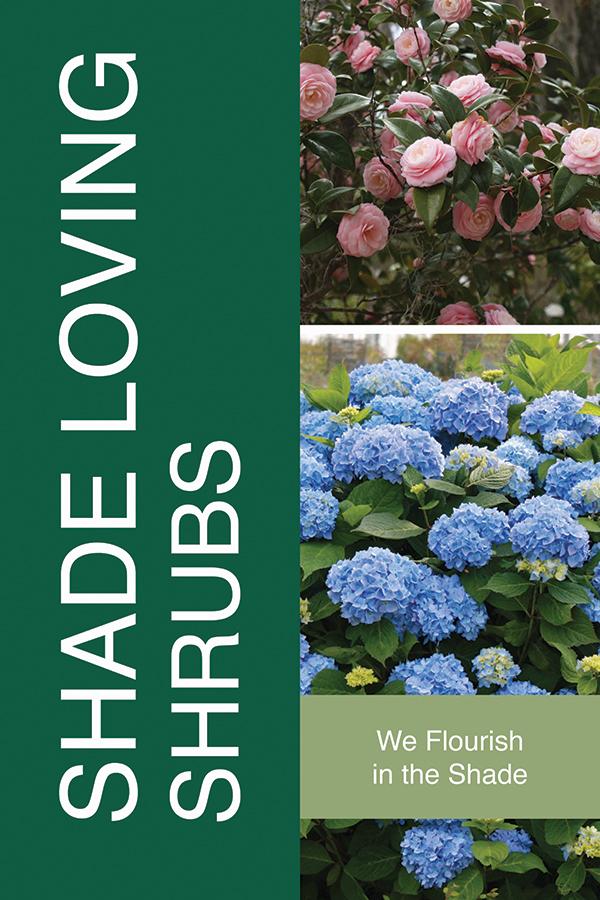 Fairview Shade Loving Shrubs 24"x36" - PC Signs from Garden Center ...