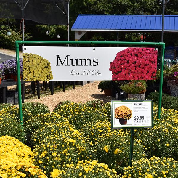 Exceptional Garden Center Signage Starts Here